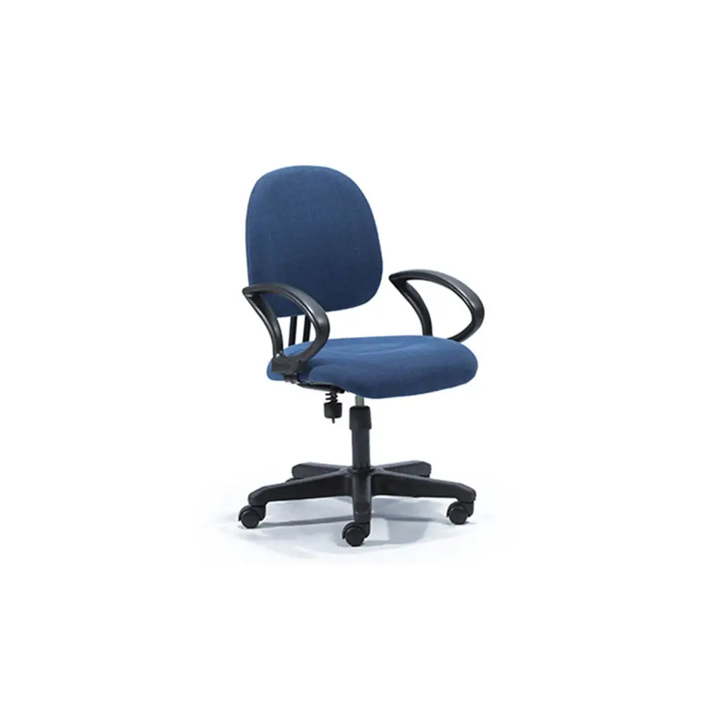 Buy Brothers Furniture Swivel Chair-49 Ergonomic Comfort SS Frame | BFL